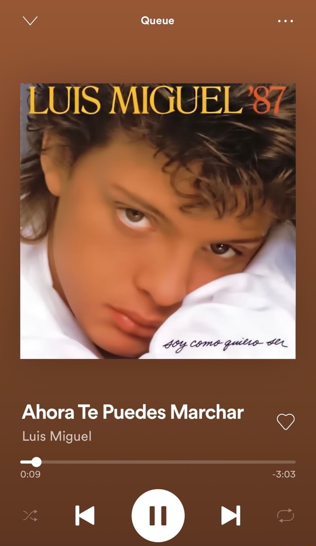 NS Queue LUIS MIGUEL Ahora Te Puedes Marchar O Luis Miguel - iFunny