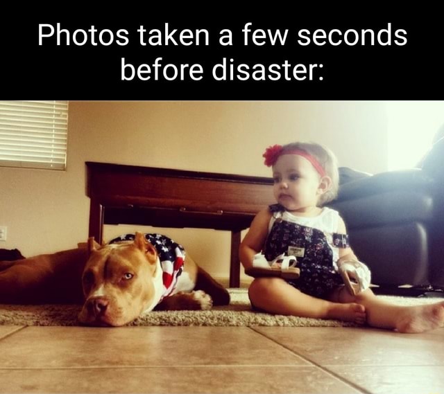 Photos taken a few seconds before disaster: - iFunny
