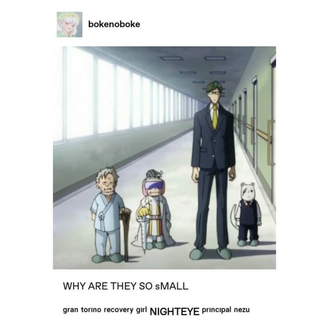 Bokenoboke WHY ARE THEY SO sMALL gran torino recovery girl NIGH TEYE ...