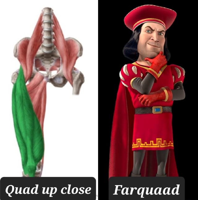 Quad up close Farquaad - iFunny
