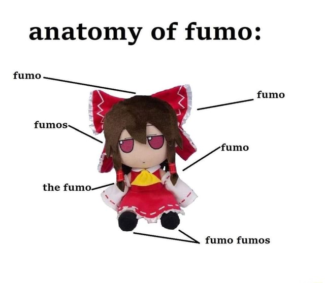 Anatomy of fumo: fumo fumos the fumo- fumo fumos - iFunny