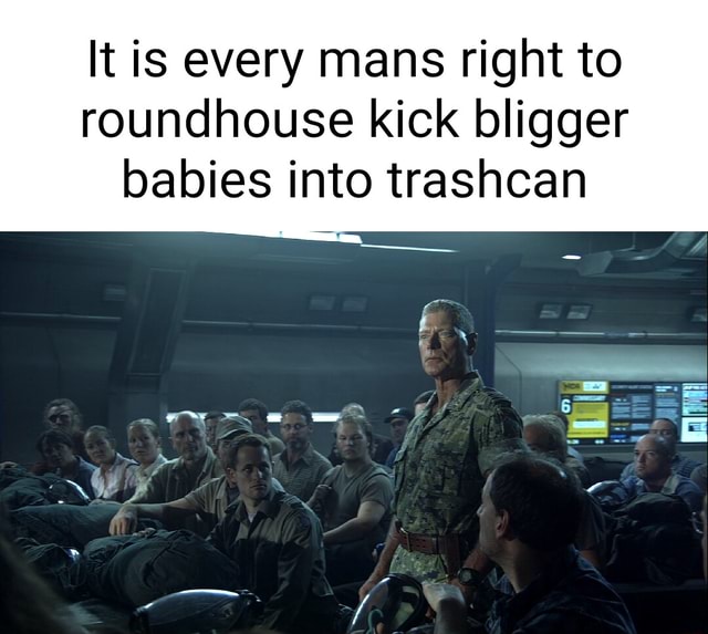 It is every mans right to roundhouse kick bligger babies into trashcan ...