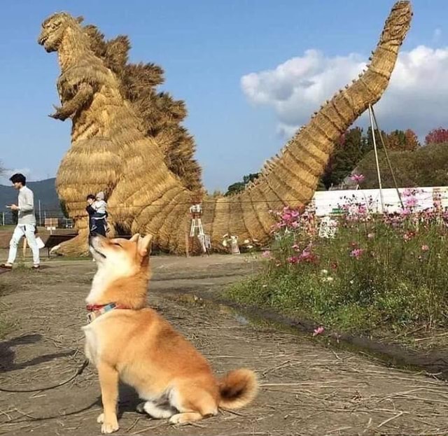 Doge meditates next to a Godzilla made of hay... - iFunny
