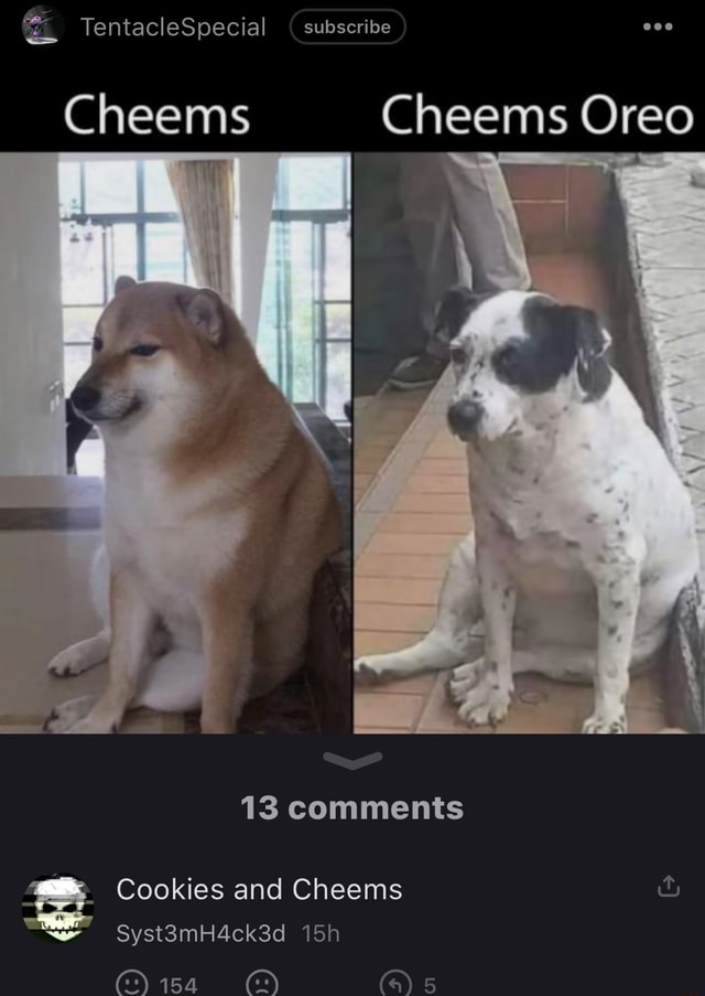 TentacleSpecial (subscribe eco Cheems Cheems Oreo 13 comments Cookies ...