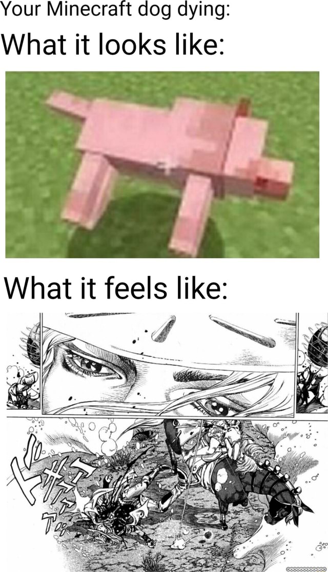 Your Minecraft dog dying: What it looks like: What it feels like: - iFunny
