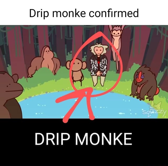 Drip monke confirmed Wy eSl DRIP MONKE - iFunny