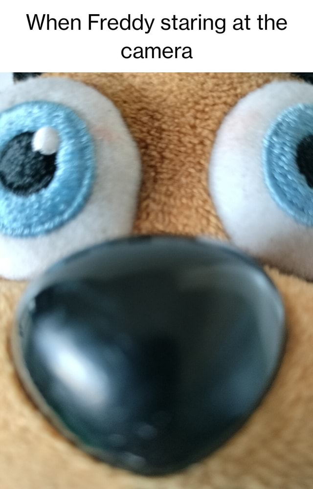 When Freddy staring at the camera - iFunny