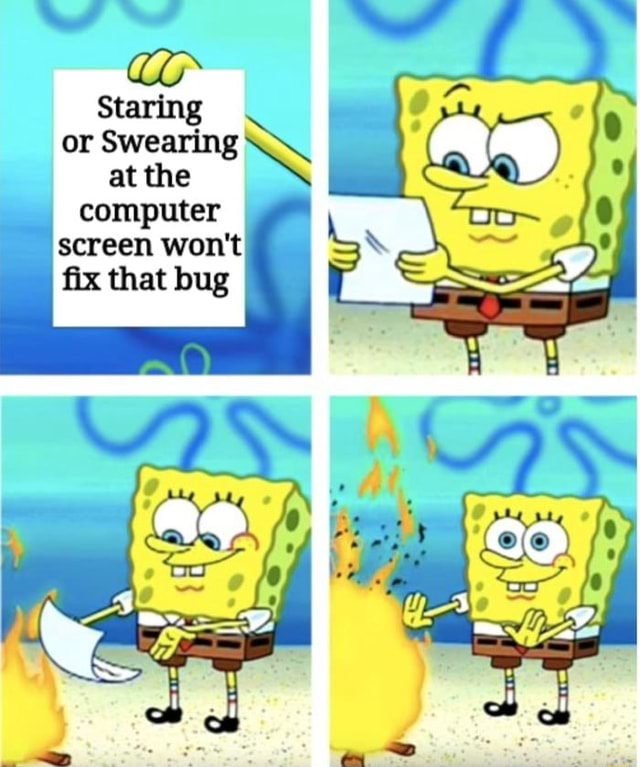 Staring t or Swearing = at the computer screen won't fix that bug - iFunny