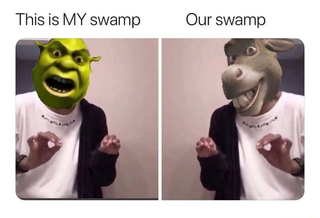 This is MY swamp Our swamp - iFunny