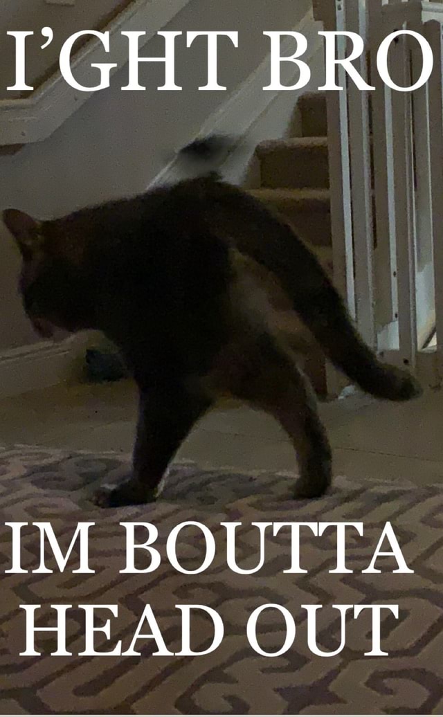 IM BOUTTA HEAD OUT - iFunny