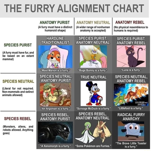 THE FURRY ALIGNMENT CHART ANATOMY PURIST I ANATOMY NEUTRAL I ANATOMY ...