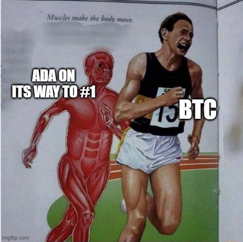 Muscles make the body move. ADA ON ITS WAY #1 - iFunny