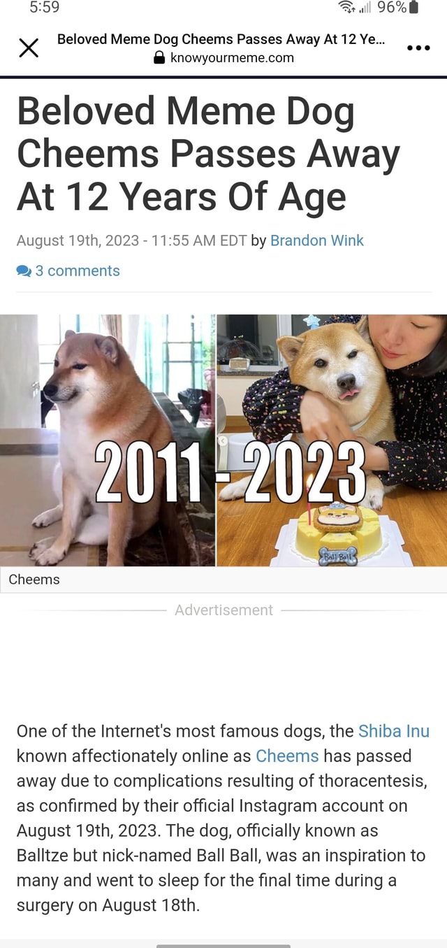 Beloved Meme Dog Cheems Passes Away At 12 Ye... Beloved Meme Dog Cheems ...