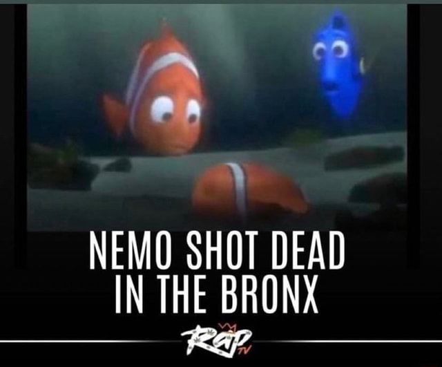 NEMO SHOT DEAD IN THE BRONX - iFunny