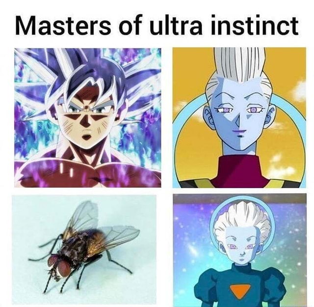 Masters of ultra instinct We - iFunny