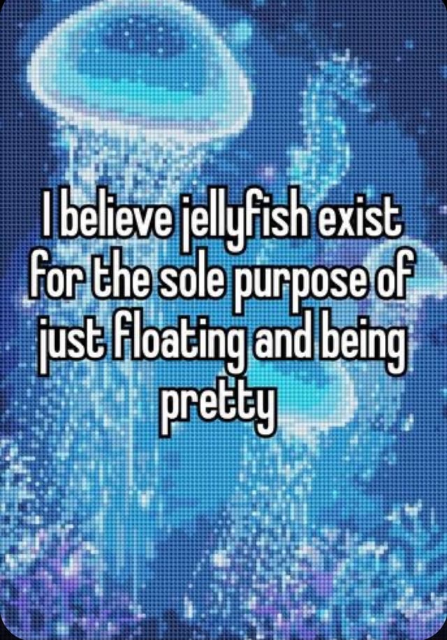 I believe jellyfish exist ror the sole purpose of just Floating and ...