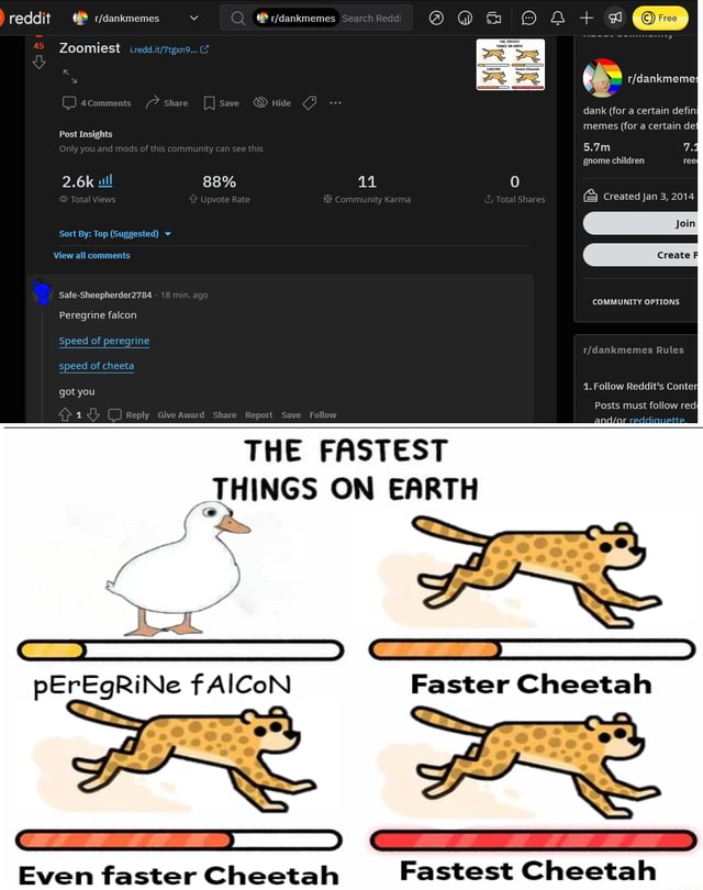 Zoomiest /dank OBS dank (for a certain definI memes (for a certain de ...