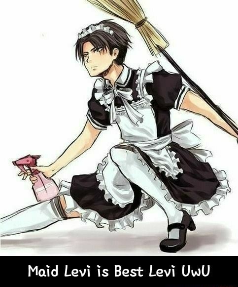 Maid Levi is Best Levi UwU - Maid Levi is Best Levi UwU - iFunny
