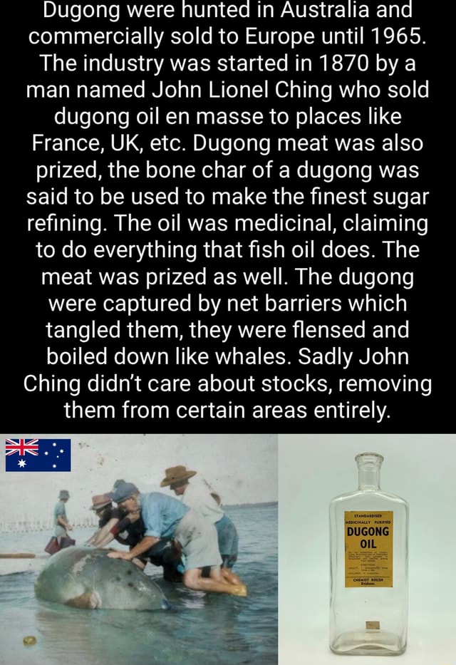 Dugong were hunted in Australia and commercially sold to Europe until ...