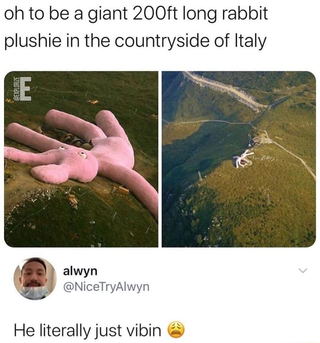 Oh to be a giant 200ft long rabbit plushie in the countryside of Italy ...