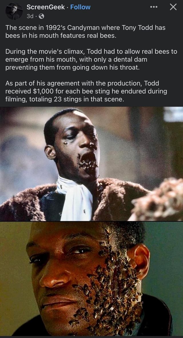 ScreenGeek - Follow The scene in 1992's Candyman where Tony Todd has ...