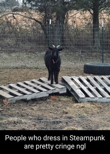 People who dress in Steampunk are pretty cringe ngl - iFunny