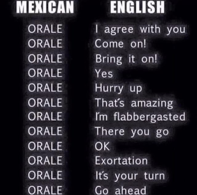 ORALE ORALE ORALE ORALE ORALE ORALE ORALE ORALE ORALE ORALE ORALE ORALE ...