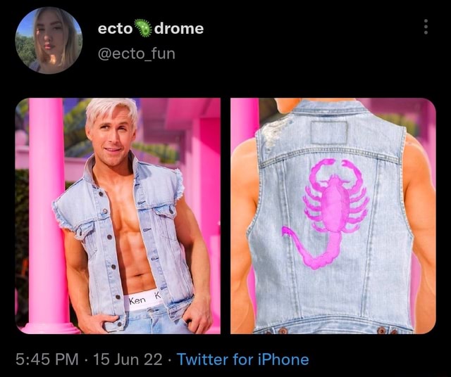 Ecto Y drome (ecto fun PM - 15 Jun 22 - Twitter for iPhone - iFunny