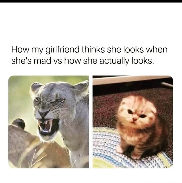 How my girlfriend thinks she looks when she's mad vs how she actually ...