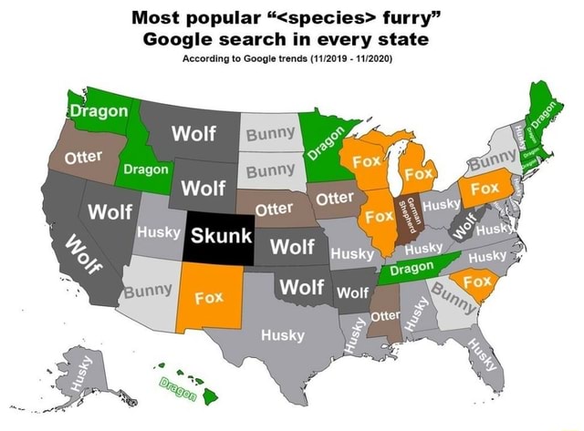 Most popular " furry" Google search in every state According to Google ...