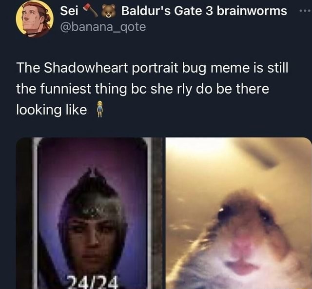 Sei Baldur's Gate brainworms The Shadowheart portrait bug meme is still ...