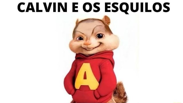 CALVIN E OS ESQUILOS - )