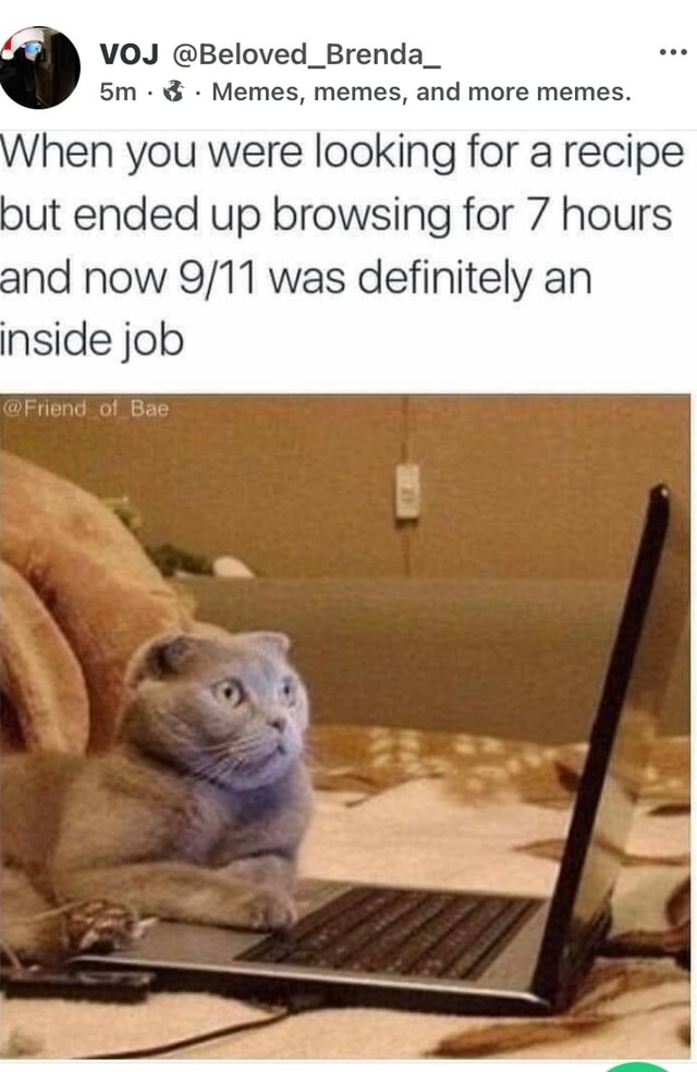 VOJ @Beloved_Brenda_ - - Memes, memes, and more memes. hen you were ...