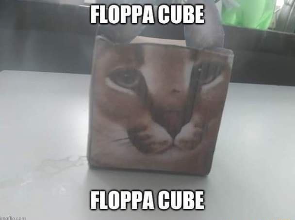 FLOPPA CUBE FLOPPA CUBE - iFunny