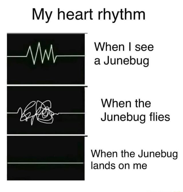 My heart rhythm When see a Junebug When the Junebug flies When the ...