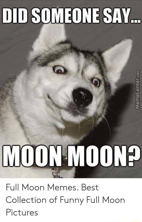 DID SOMEONE SAY... MOON MOON? Full Moon Memes. Best Collection of Funny ...