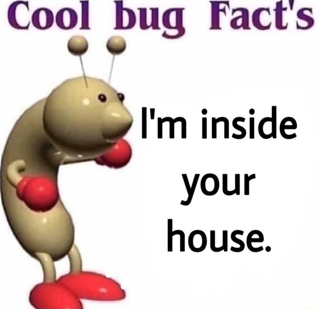 Cool bug Fact's q e your house. - iFunny