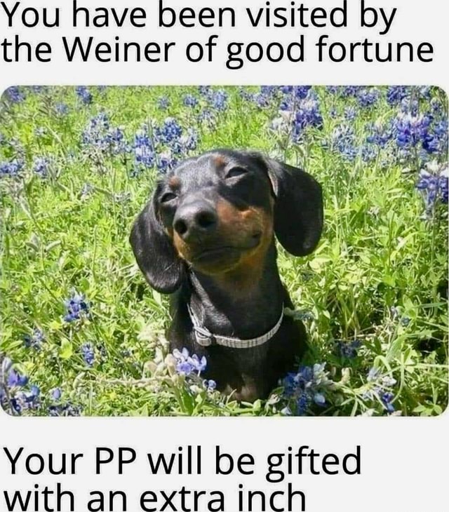 @lolsbox on Instagram #lolsbox - You nave been visited by the Weiner of ...