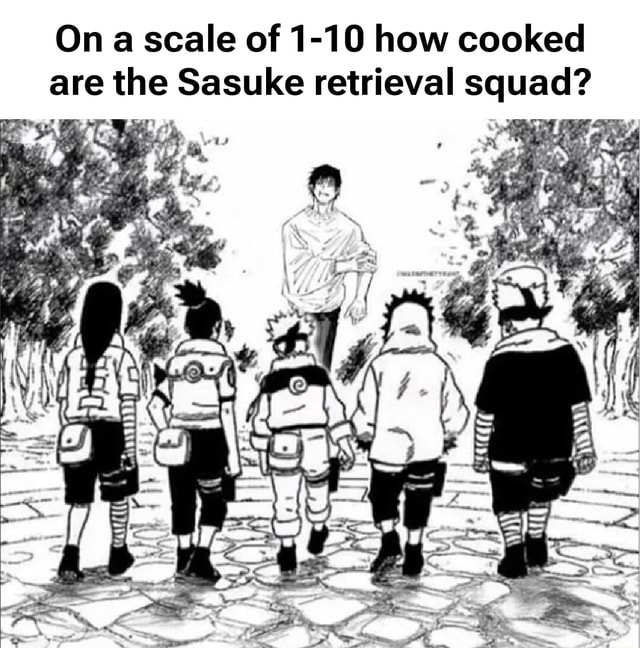 On a scale of 1-10 how cooked are the Sasuke retrieval squad? - iFunny