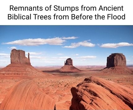 Remnants of Stumps from Ancient Biblical Trees from Before the Flood ...
