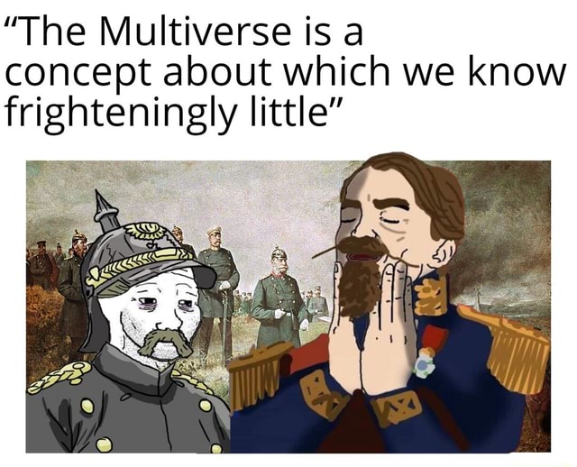 "The Multiverse is a concept about which we know frighteningly little ...