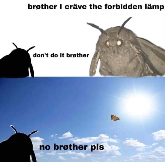 Brother crave the forbidden lamp don't do it brother no brether pis ...
