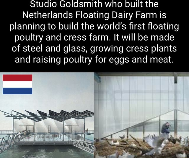 Studio Goldsmith wno built the Netherlands Floating Dairy Farm is ...