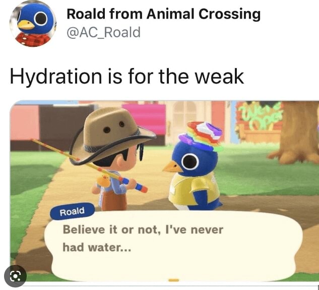 Roald from Animal Crossing @AC Roald Hydration is for the weak Roald ...