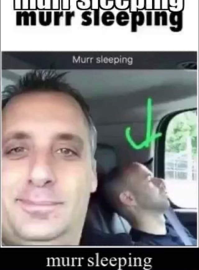 Murr sleeping - iFunny