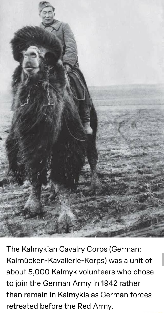 The Kalmykian Cavalry Corps (German: KalmUcken-Kavallerie-Korps) was a ...