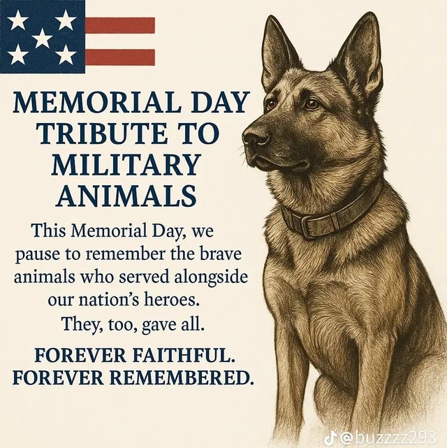 MEMORIAL DAY TRIBUTE TO MILITARY ANIMALS This Memorial Day, we pause to ...