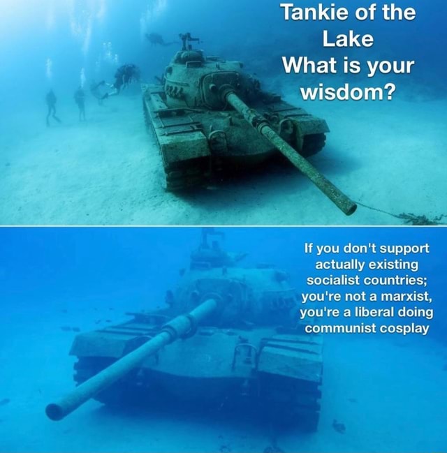 Tankie of the Lake What is your wisdom? If you don't support actually ...