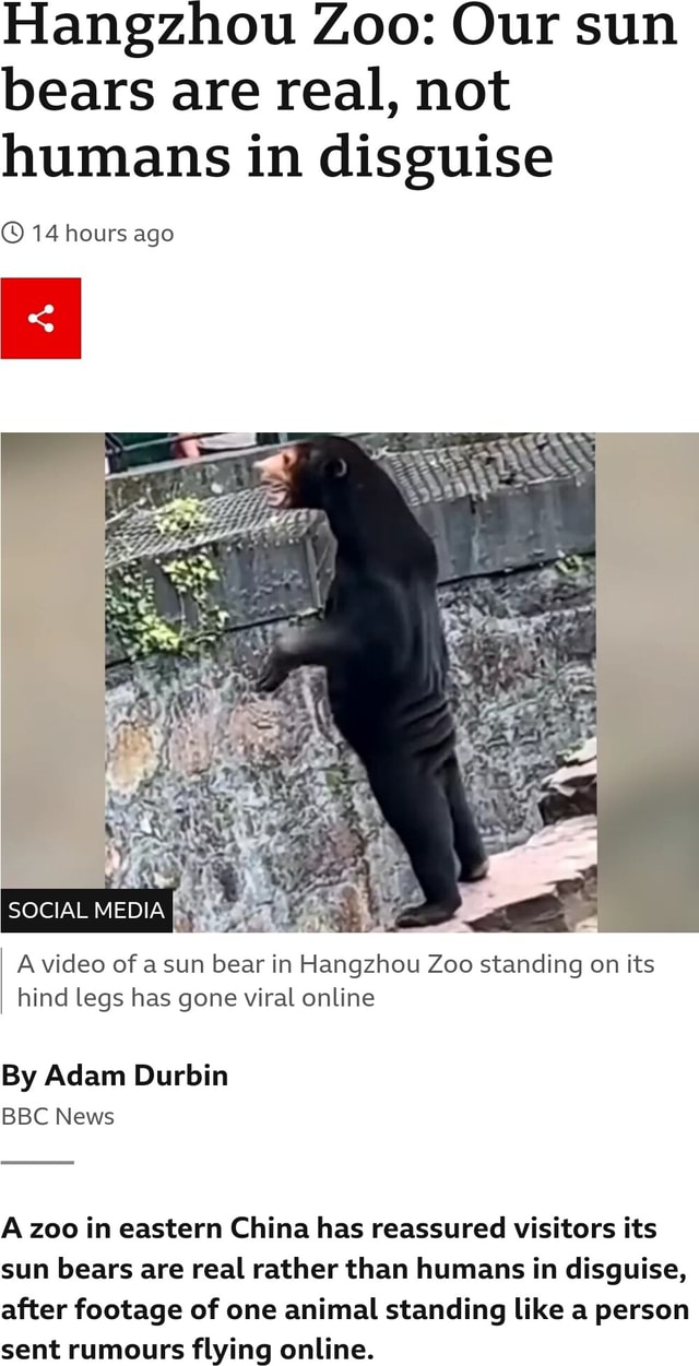 Hangzhou Zoo: Our sun bears are real, not humans in disguise 14 hours ...