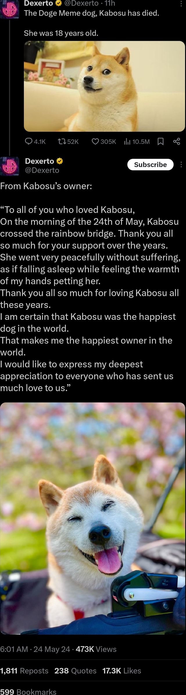Dexerto @Dexerto The Doge Meme dog, Kabosu has died. She was 18 years ...